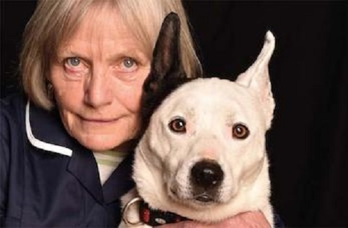 New Perspectives and The Brighton Festival presents: House Mother ...