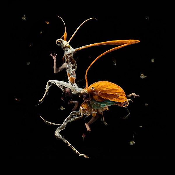 Metamorphosis Full Cast and Creative Team Announced - North West End UK