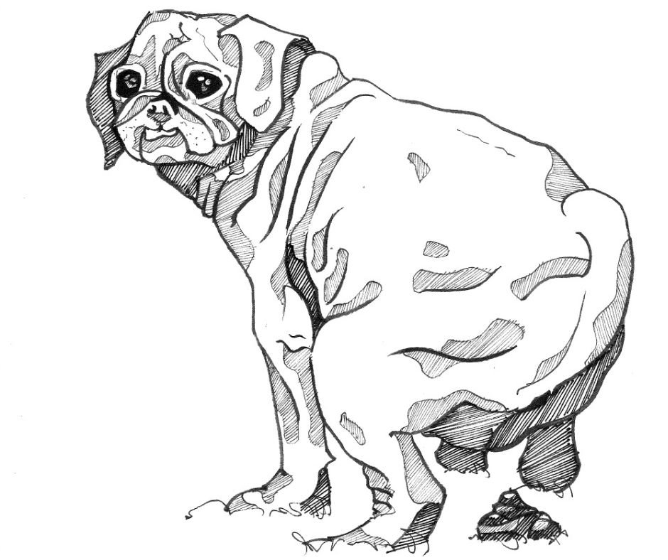 Dog Sh!t – Theatre 503 - North West End UK